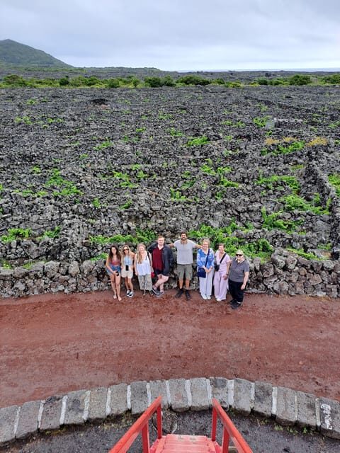 Wine Tour and Tasting with a local Winemaker at Pico Island - Key Points