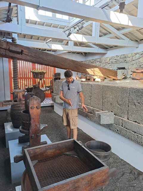 Wine Tour and Tasting with a local Winemaker at Pico Island - A Closer Look at the Itinerary and Experience