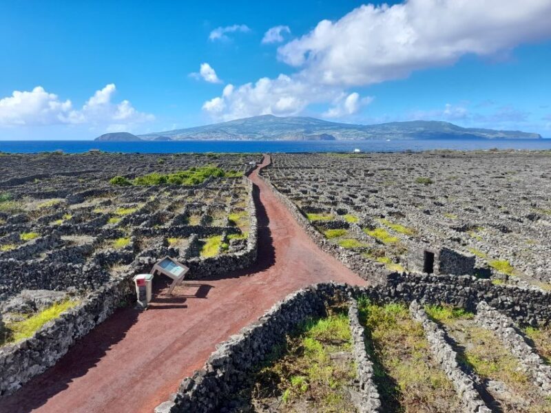 Wine Tour and Tasting with a local Winemaker at Pico Island - Practical Details and Tips
