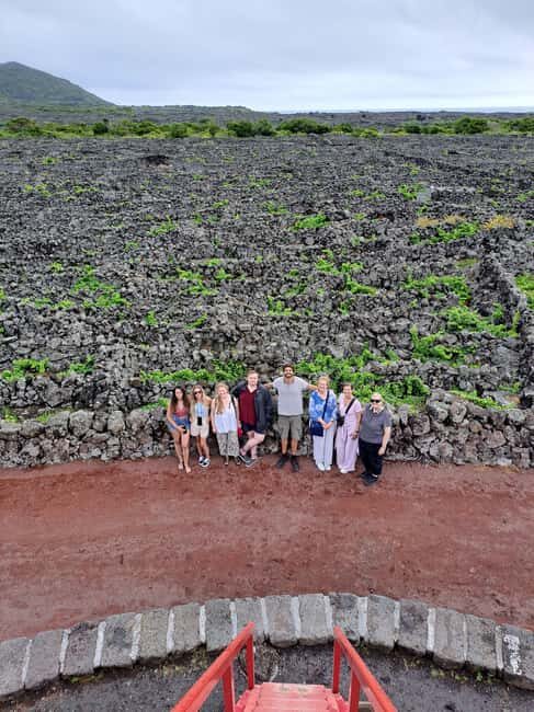Wine Tour and Tasting with a local Winemaker at Pico Island - Authentic Reviews That Reinforce the Quality