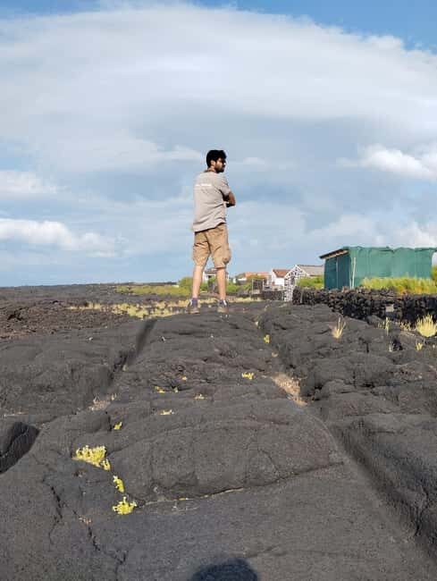 Wine Tour and Tasting with a local Winemaker at Pico Island - Summary: Is It Worth It?