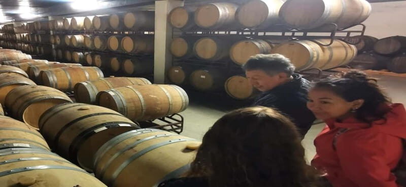Wine Tour and traditional Portuguese tiles in Half Day Tour - Practical Details and Tips