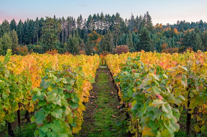 Wine Tour at Ardiri Winery Private Walking Experience - FAQ