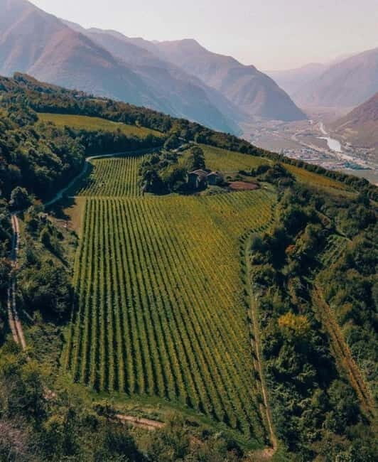 Wine tour at Borgo dei Posseri: wine, nature, and authenticity - Key Points