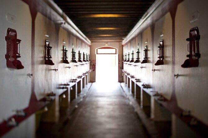 Wine Tour at Chateau Lanessan - Real Guest Perspectives