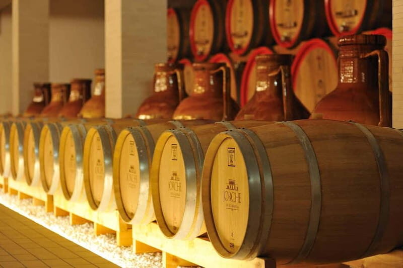 Wine Tour "Discovery Jarche" - An In-Depth Look at the "Discovery Jarche" Tour