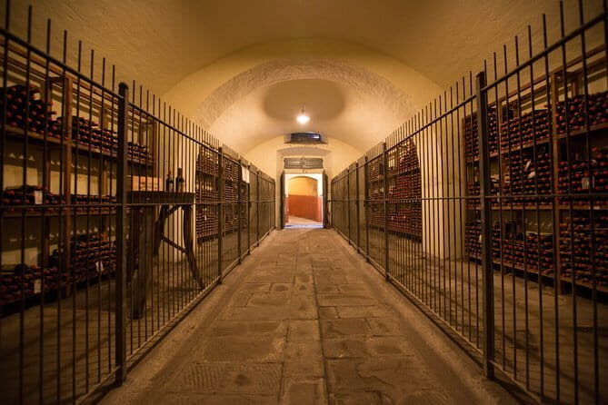 Wine Tour Experience - What’s Included and How Does It Play Out?