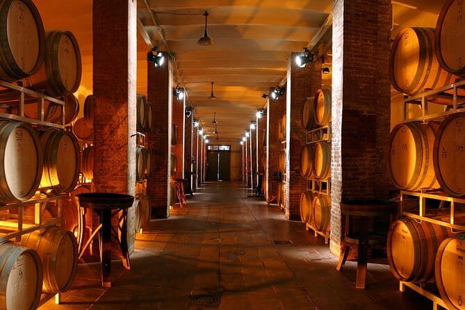 Wine Tour Experience - Authentic Historic Cellars and Scenic Views