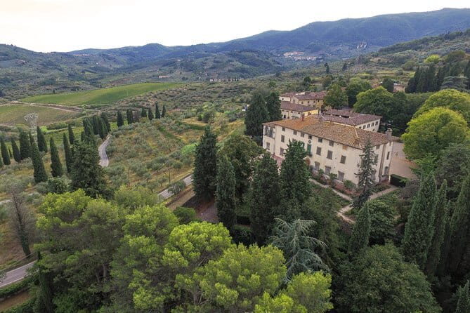 Wine Tour Experience - The Reviews Speak Volumes