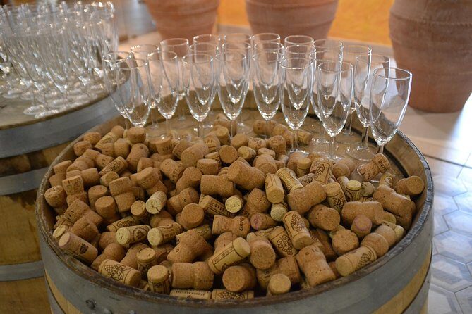 Wine Tour Experience for Family or friend's group - Frequently Asked Questions