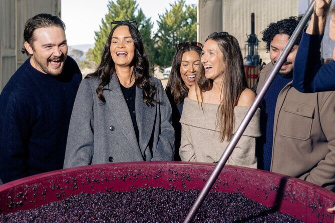 Wine Tour From Canberra to Murrumbateman - Hop on Hop Off - Who Will Love This Tour?