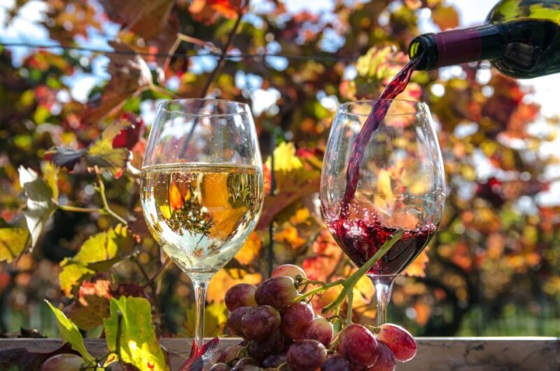 Wine Tour From lisbon with Tastings & Winemaker for a day - What’s Included & Not