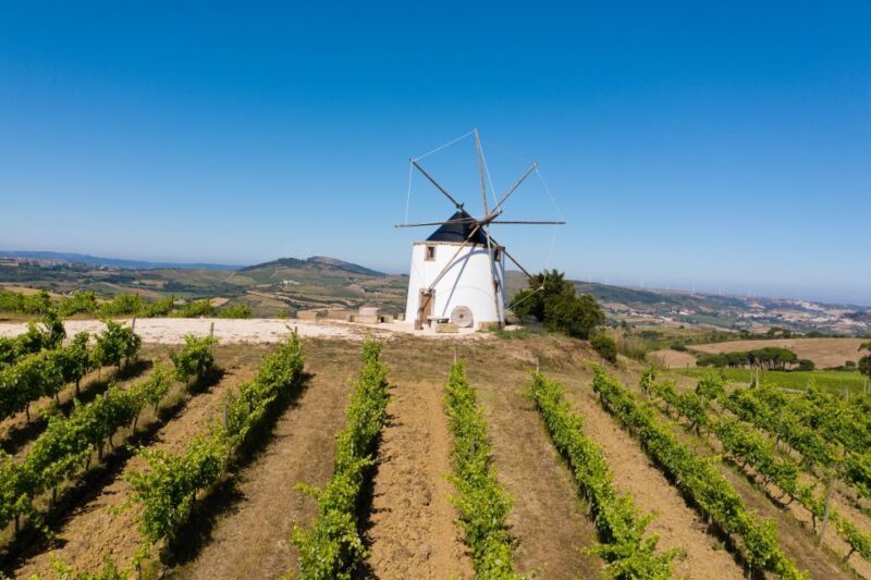 Wine Tour From lisbon with Tastings & Winemaker for a day - Practical Details & Tips