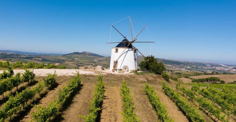 Wine Tour From lisbon with Tastings & Winemaker for a day - Who This Tour Is Best For