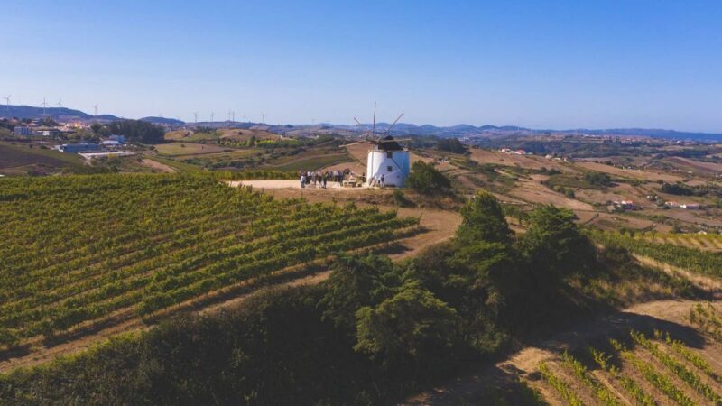 Wine Tour From lisbon with Tastings & Winemaker for a day - FAQ