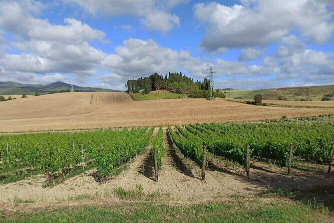 Wine tour in Chianti and visit of San Gimignano for small groups - The Scenic Drive Through the Chianti Countryside