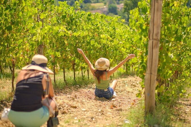 Wine tour in Chianti and visit of San Gimignano for small groups - Wine Tasting: Savoring Tuscan Traditions