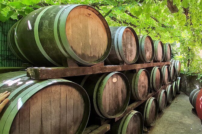 Wine Tour in Roussillon: Picnic & Tasting Day - FAQs