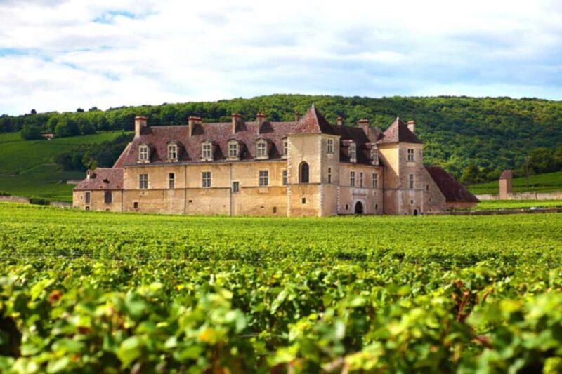 Wine tour in the canton of Vaud - Lavaux vineyards - The Sum Up