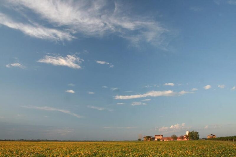 Wine Tour in the Hemingway lands close to Caorle Lagoon - Who Would Enjoy This Tour?