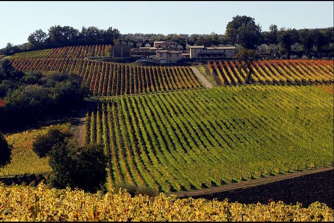Wine tour in Umbria along the Sagrantino trail with light lunch - Key Points