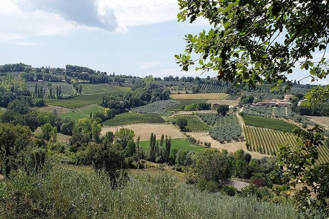 Wine tour in Umbria along the Sagrantino trail with light lunch - An In-Depth Look at the Sagrantino Trail Tour