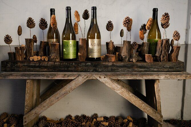 Wine Tour of Etyek from Budapest, taste even 7 kinds of wines! - FAQs About the Etyek Wine Tour