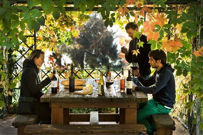 Wine Tour of two Chianti wine estates on the hills of Florence - The Sum Up