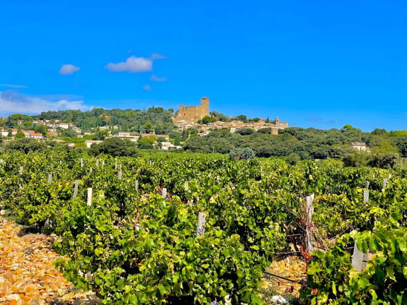 Wine Tour: On the Way to Chateauneuf du Pape - Discover the Charm of the Rhône’s Southern Wines with a Guided Tour