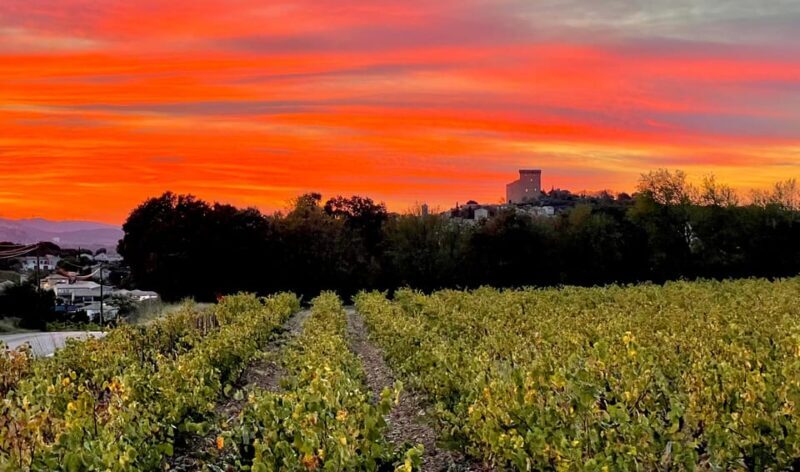 Wine Tour: On the Way to Chateauneuf du Pape - Who Will Love This Tour