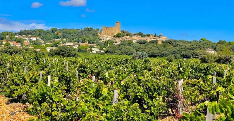 Wine Tour: On the Way to Chateauneuf du Pape - The Sum Up
