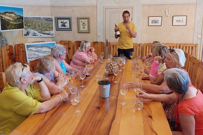 Wine tour Peljesac - Final Thoughts
