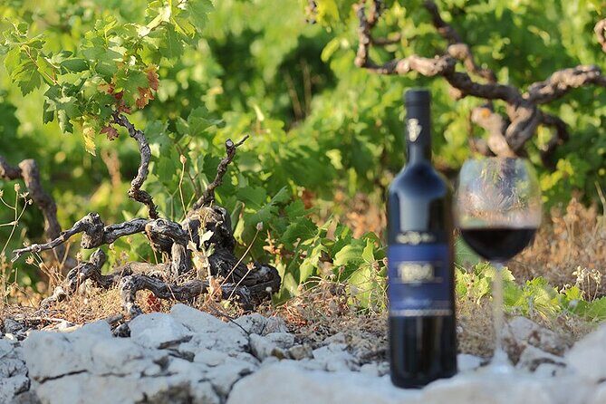 Wine tour Peljesac - FAQs