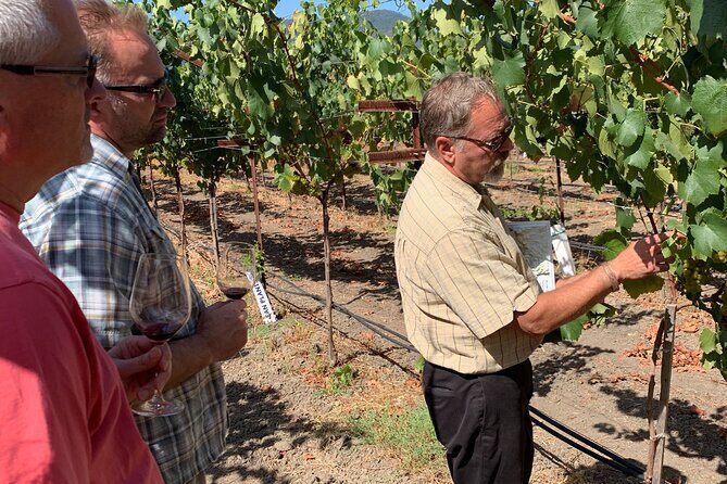 Wine Tour Pros - Napa Wine Tour: SUV Up To 6 Guests - FAQ