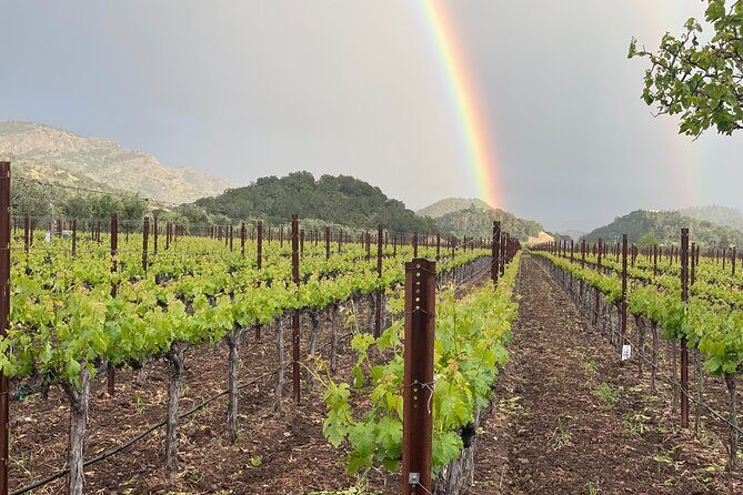 Wine Tour Pros - Sprinter Van Wine Tour: Up To 14 Guests - Transportation, Duration, and Group Size