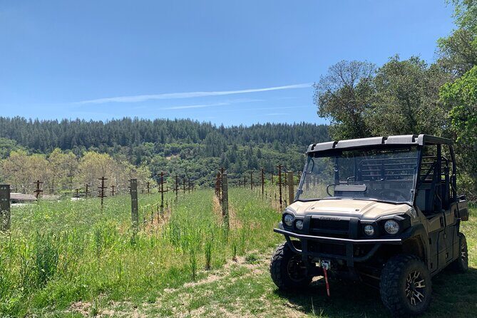 Wine Tour Pros - Wine Tour in Napa Valley: SUV For Up To 6 Guests - Why This Tour Is a Good Choice