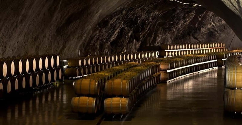 WINE TOUR: Recommended for hedonists! - Key Points