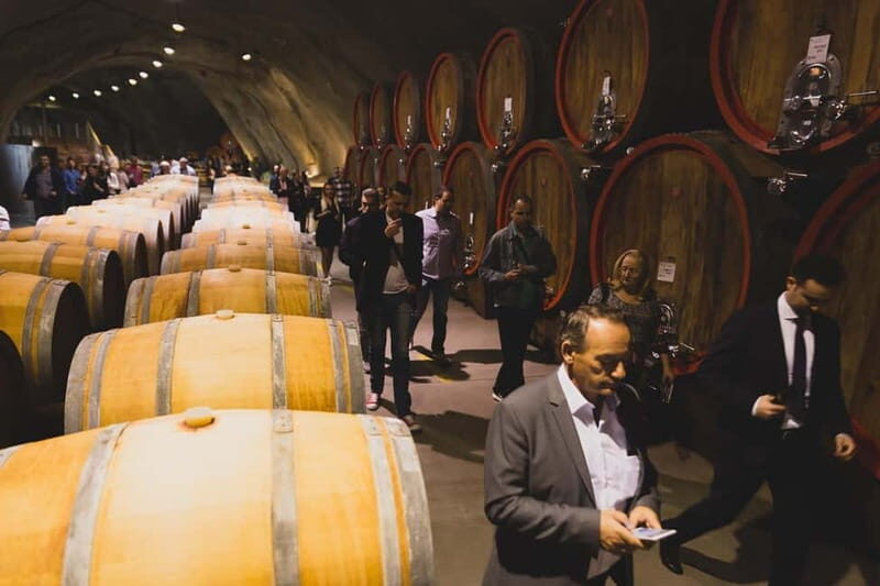 WINE TOUR: Recommended for hedonists! - The Tasting Experience