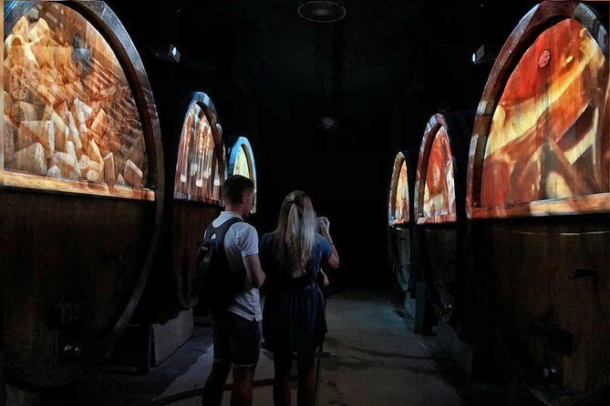 Wine tour, tasting and Alsatian meal - 100% immersive experience - A Guide to a Truly Alsatian Wine Experience