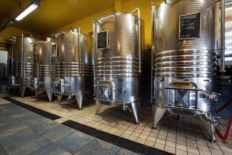 Wine Tour & Tasting of 6 Wines  Le Macchie, near Rome - Key Points
