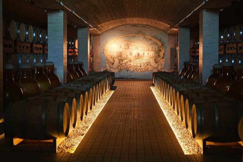 Wine Tour "The pearls of Manduria" - An In-Depth Look at the Experience