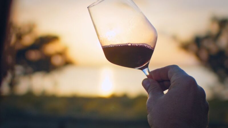Wine Tour through the vineyards with tasting by Salt Lake - Exploring the La Mata Wine and Nature Tour: A Taste of Spain’s Authentic Charm