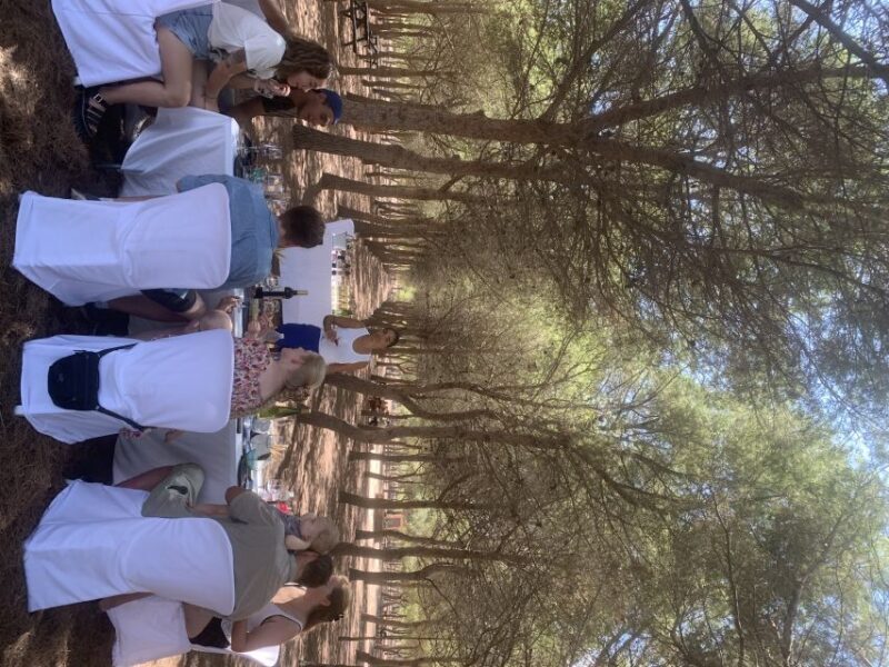 Wine Tour through the vineyards with tasting by Salt Lake - A Walk in the Park: Setting the Scene