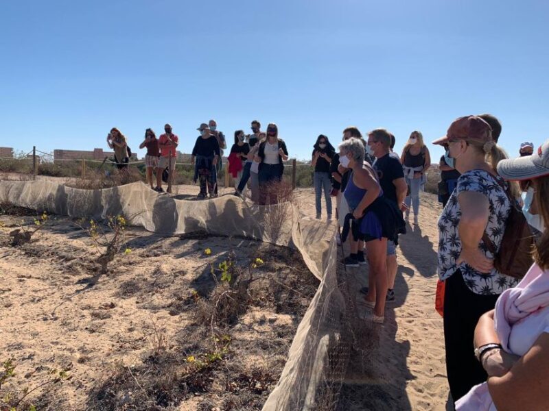 Wine Tour through the vineyards with tasting by Salt Lake - Authentic Experiences That Last