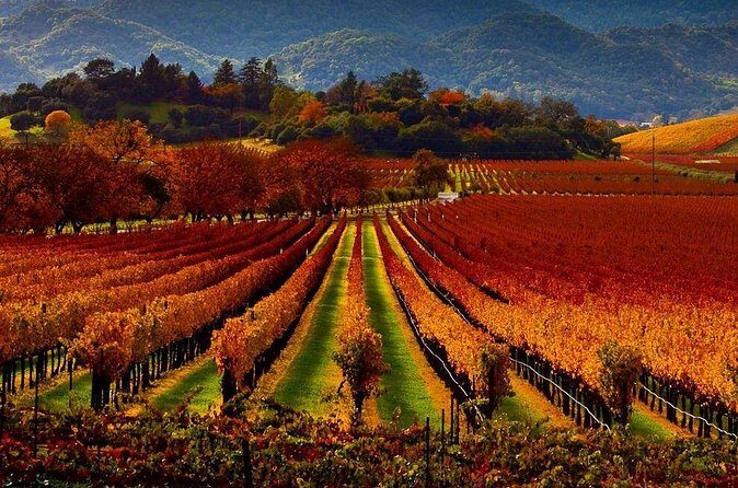 Wine tour up to 6 passengers - Who Will Love This Tour?
