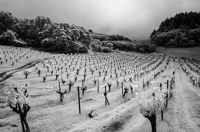 Wine tour up to 6 passengers - Frequently Asked Questions