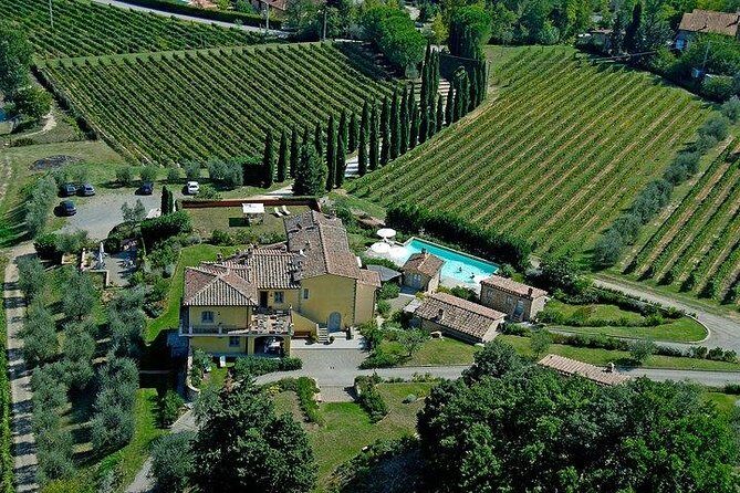 Wine Tour with Lunch and Wine Tasting - Key Points