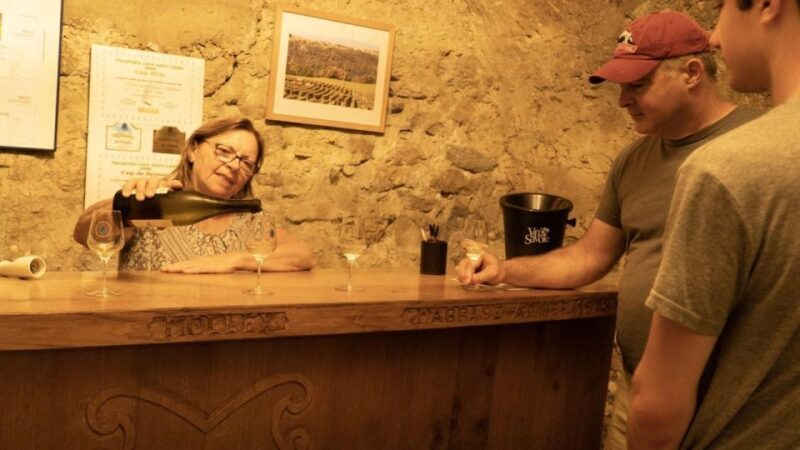 Wine Tour with private driver - An Inside Look at the Experience