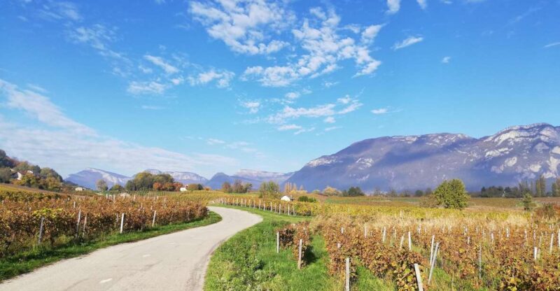 Wine Tour with private driver - Frequently Asked Questions