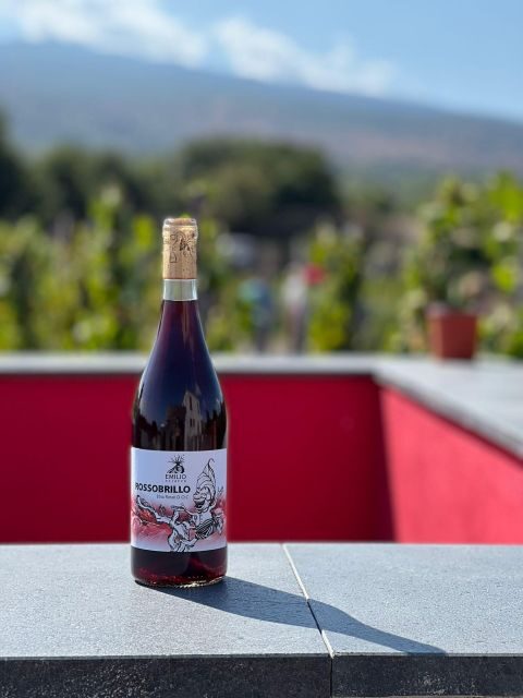 Wine tour with wine tasting - Exploring the Etna Vineyard Tour: A Practical & Authentic Sip of Sicily